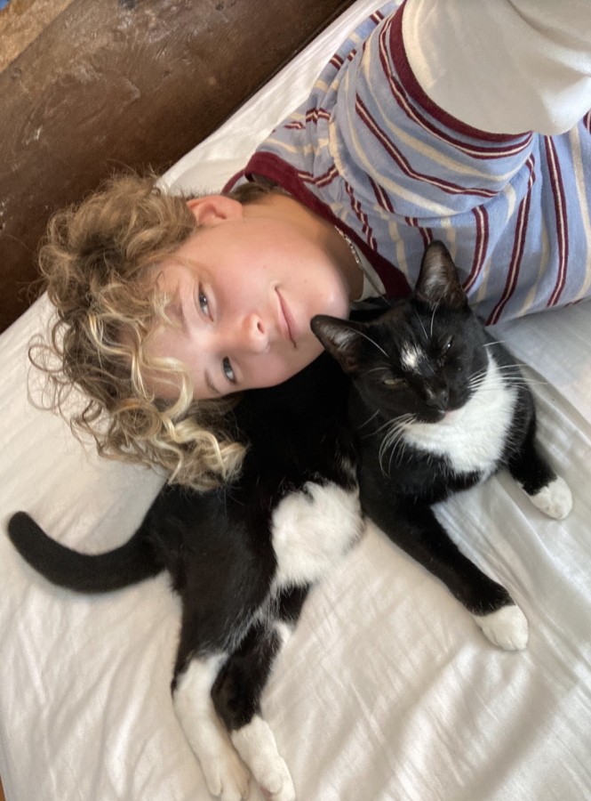 AMHS Pet Profiles: Part 3! – THE TALON